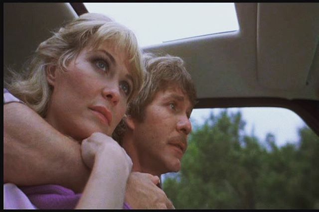 Image of Dee Wallace