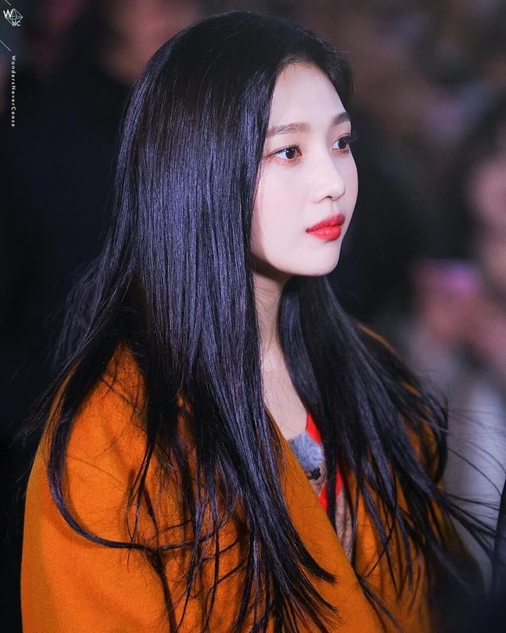 Image of Joy (Park Soo Young)