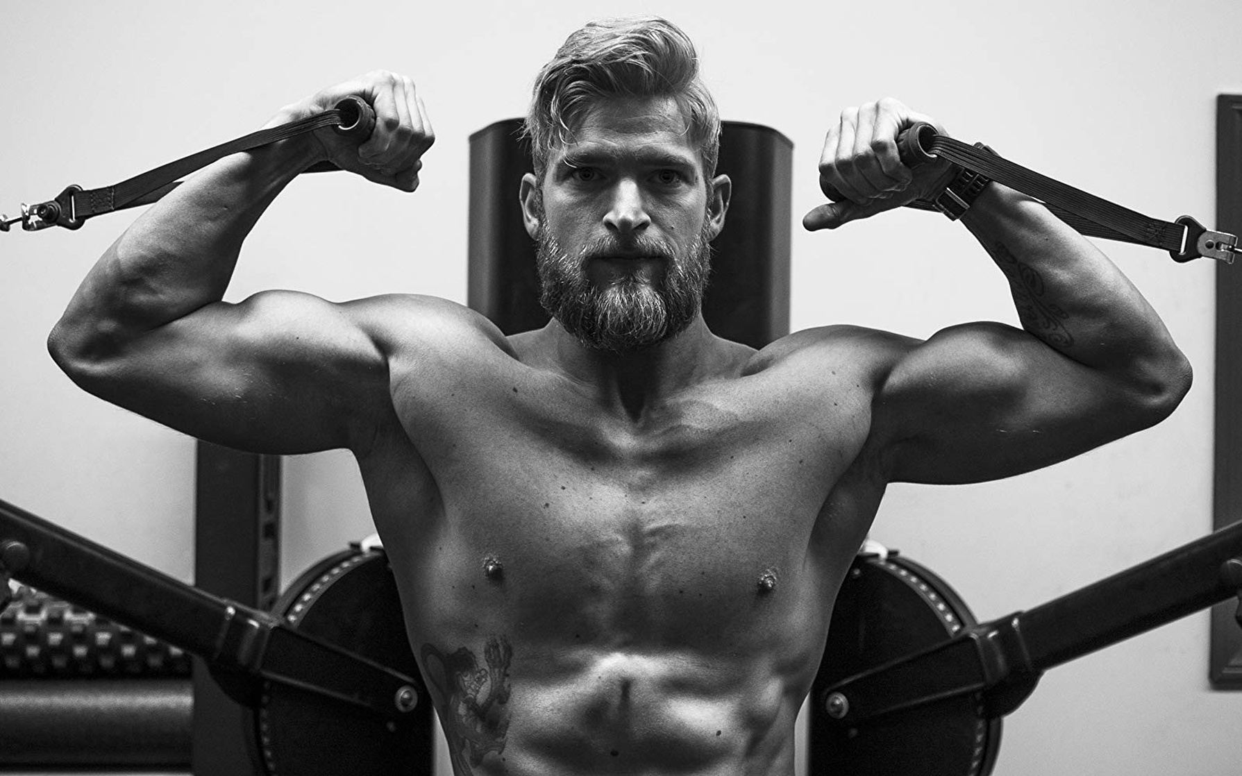 Image of Callen David Stilphen