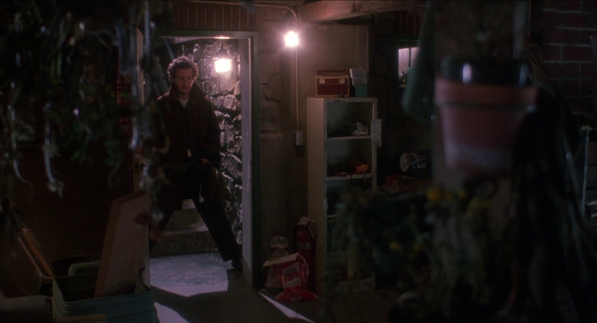 Picture of Home Alone