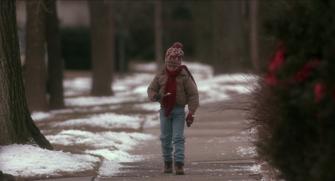 Picture of Home Alone