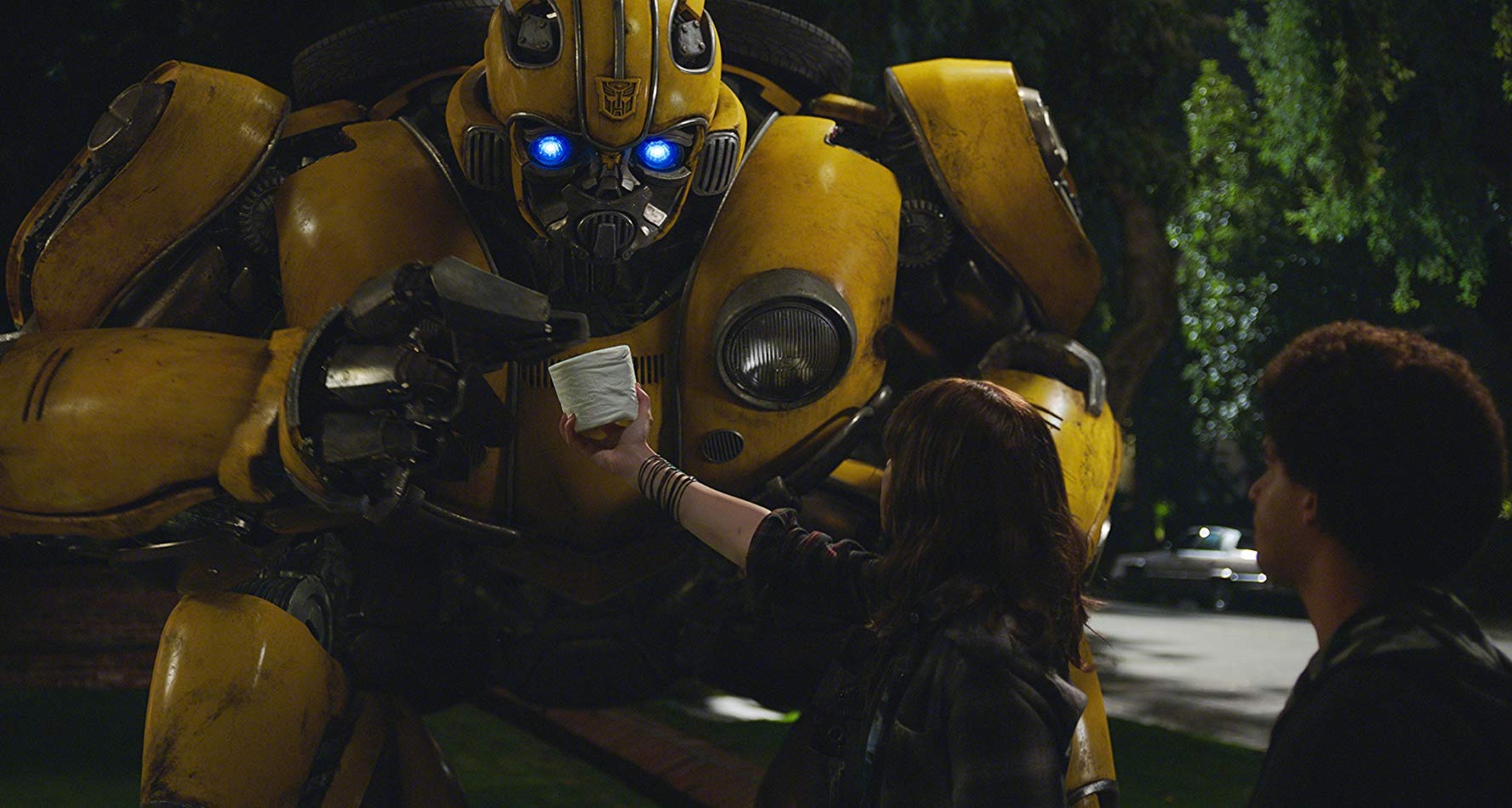 Picture of Bumblebee