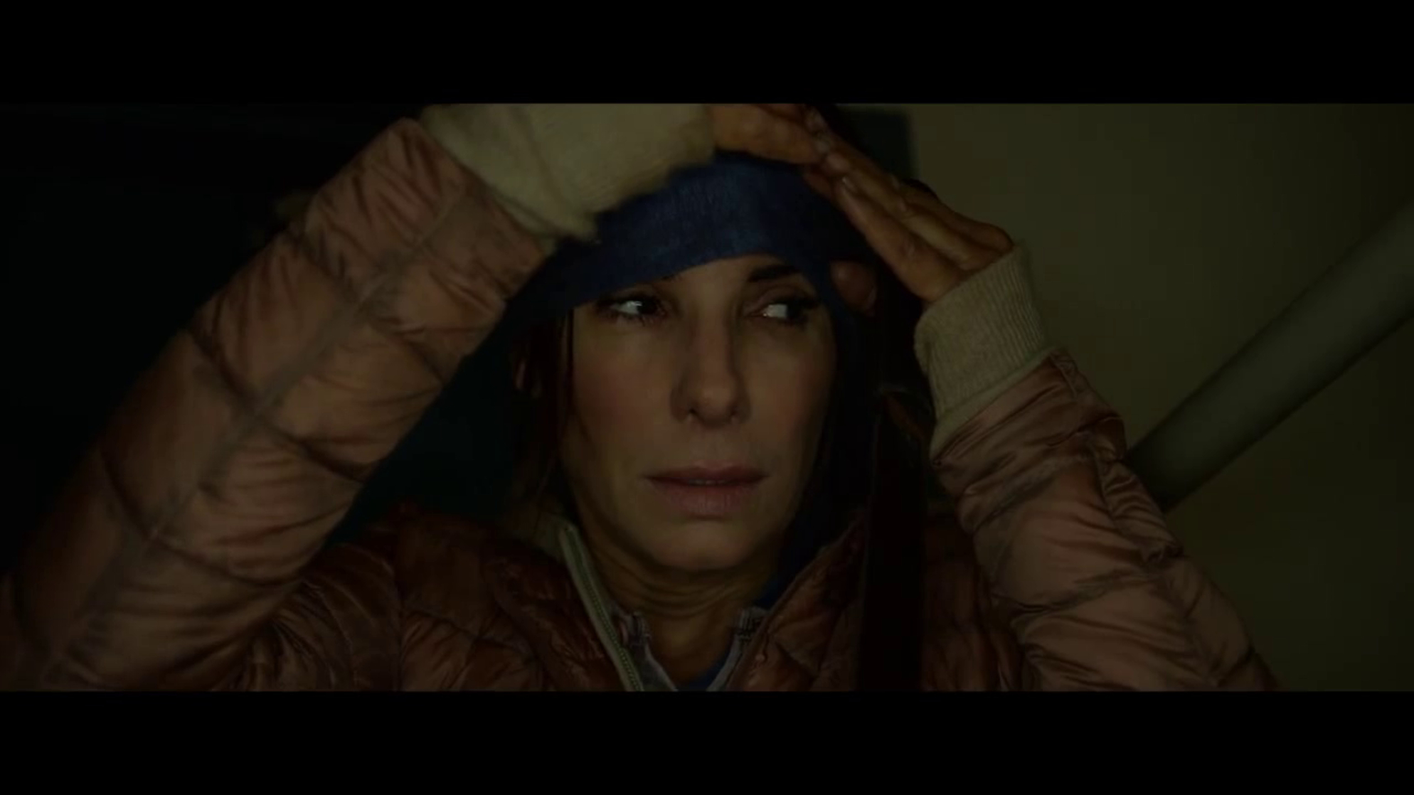 Image of Bird Box