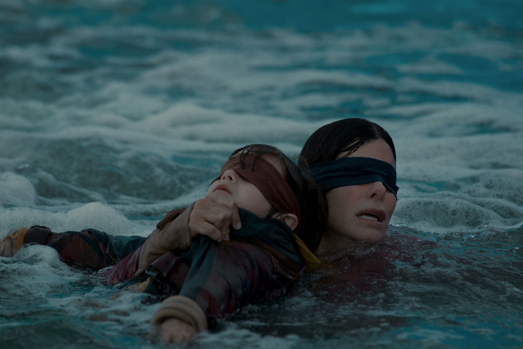Bird Box (2018) image