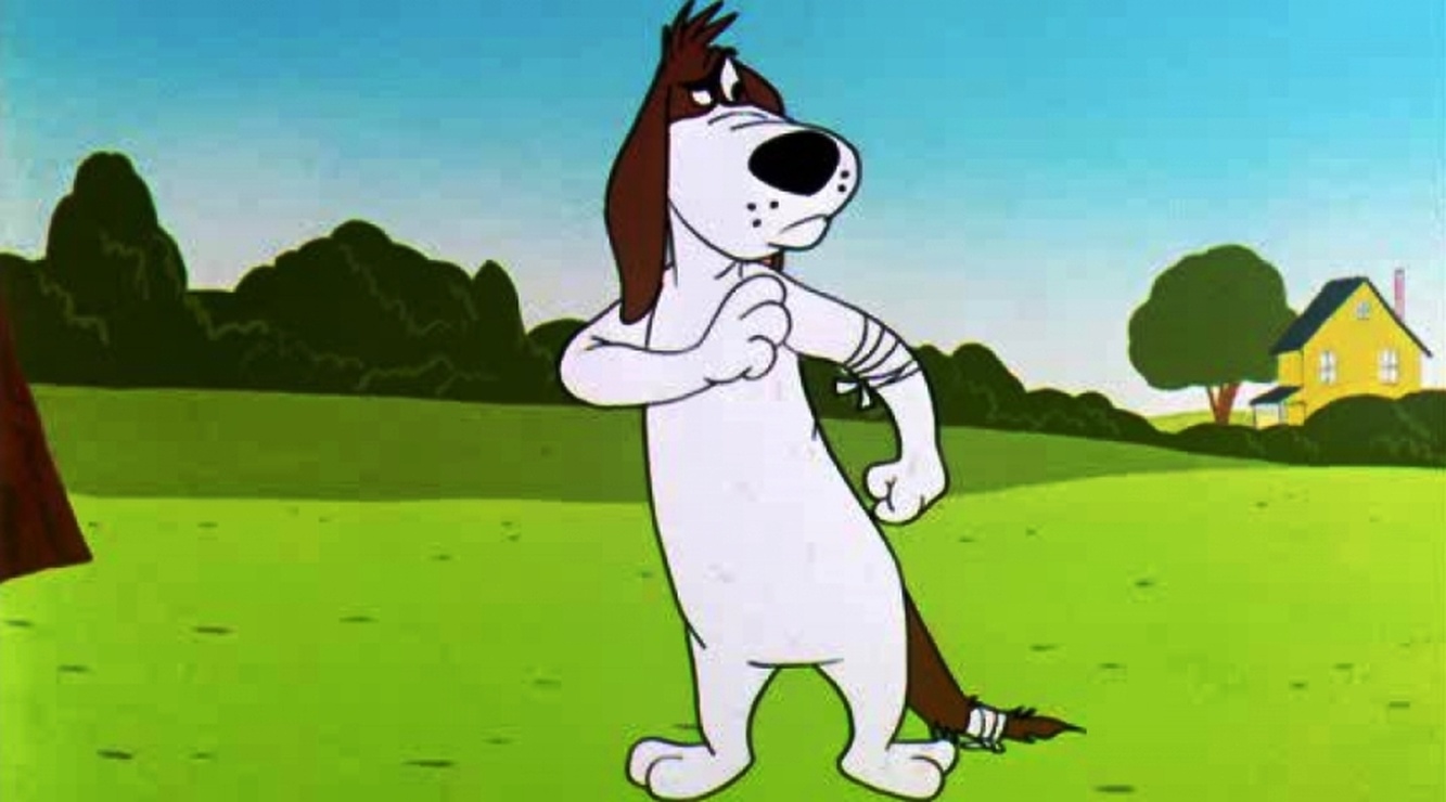 Fox-Terror image