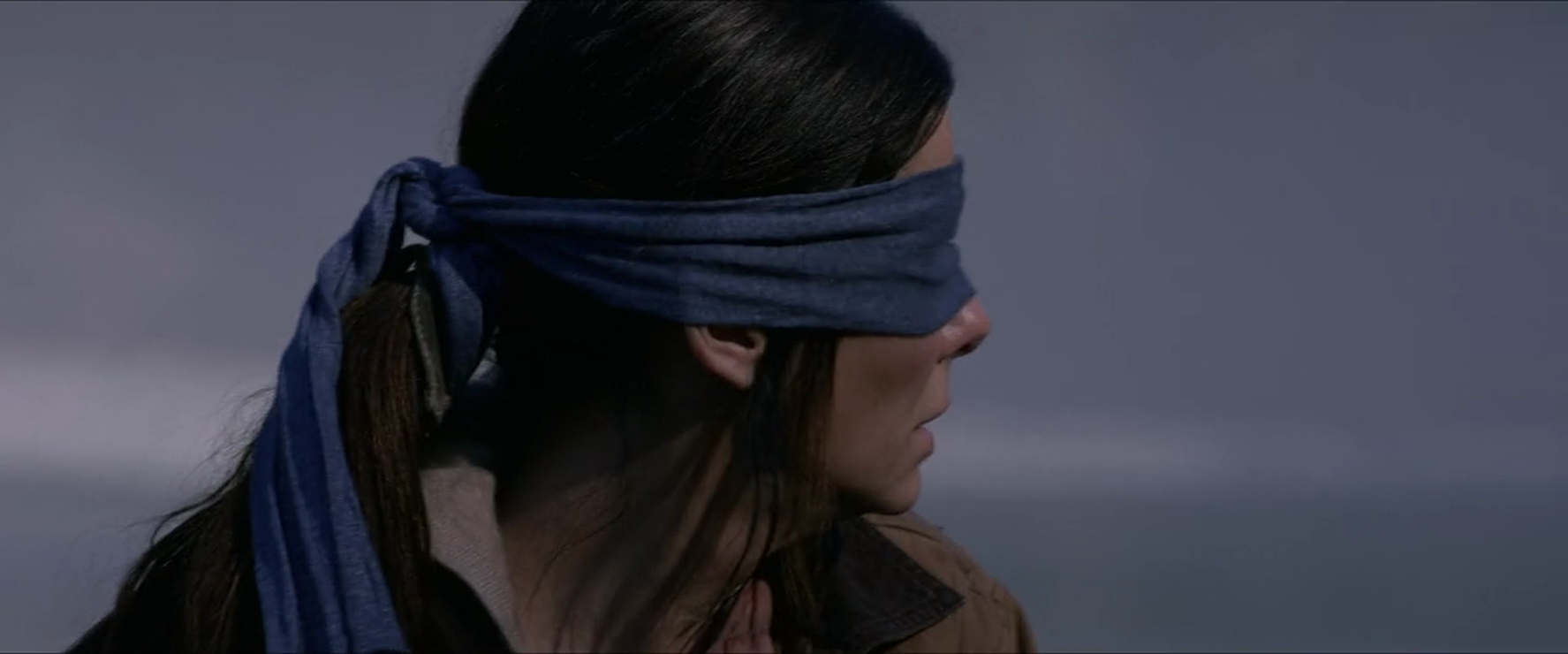 Picture of Bird Box