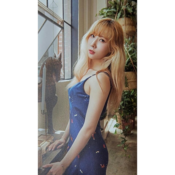 Picture of Han Dong