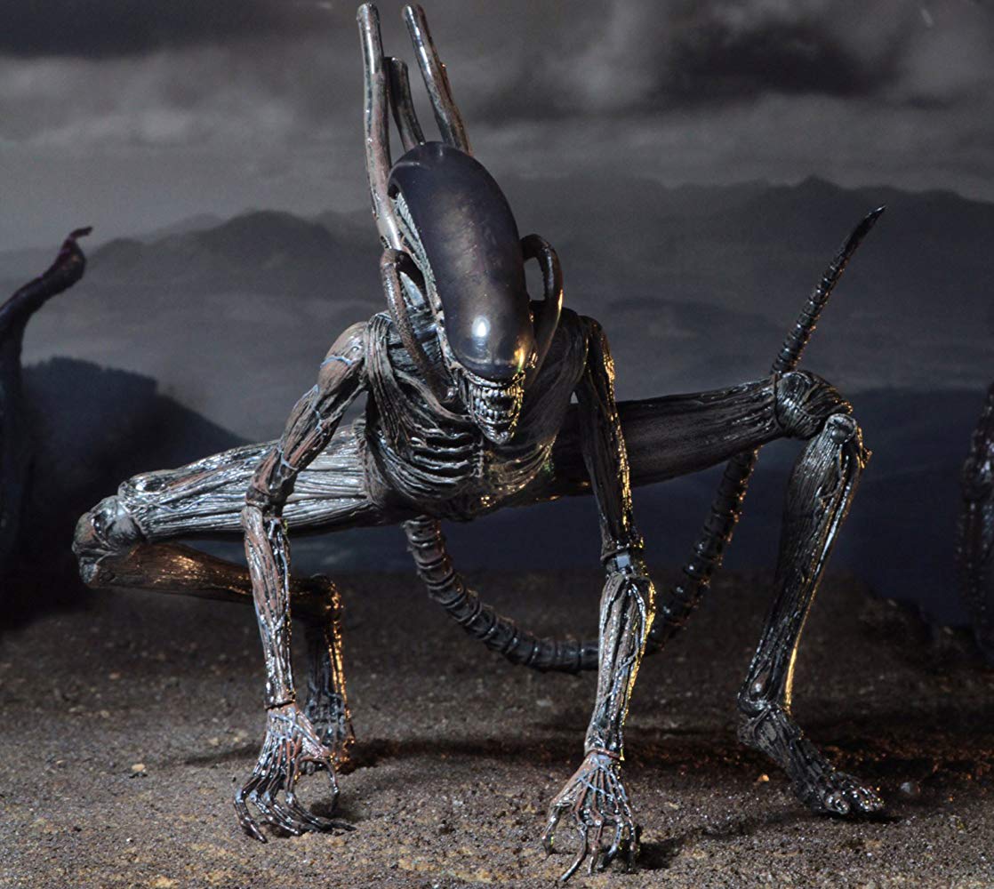 Picture of Alien: Covenant