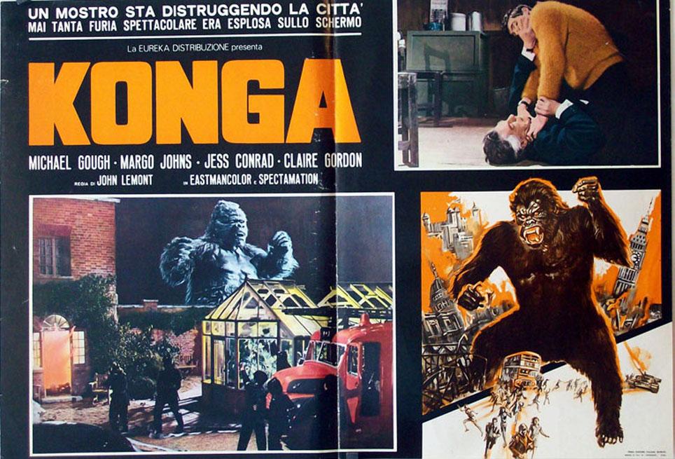 Picture of Konga
