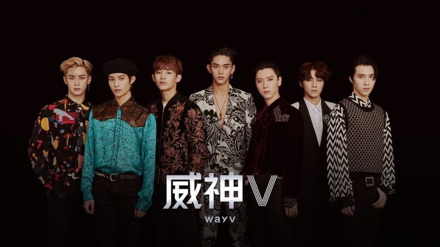 WayV picture
