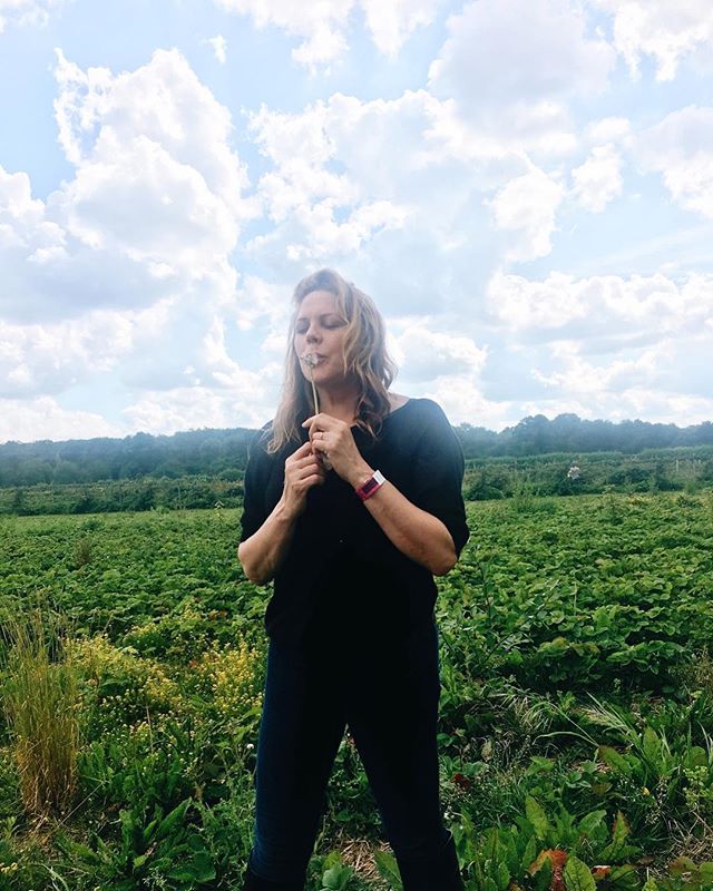 Picture of Mary McCormack