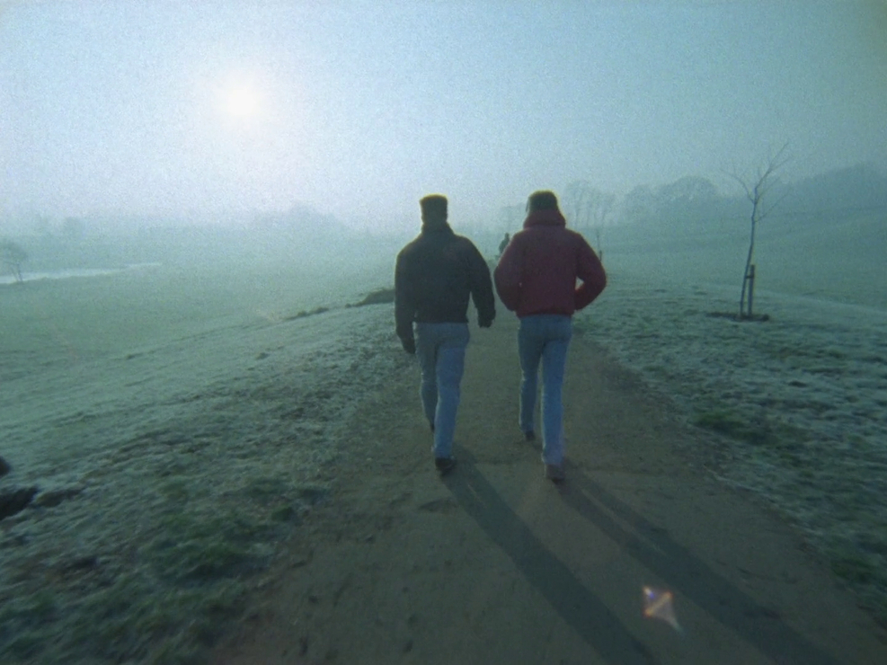 Picture of Elephant (1989)