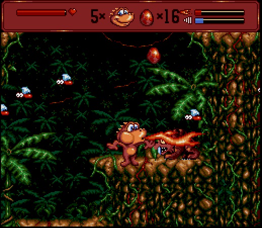 Image of Radical Rex