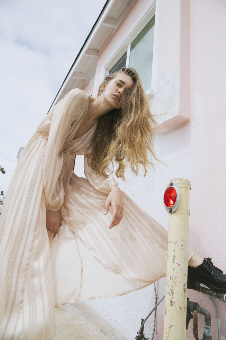 Picture of Blue LoLan