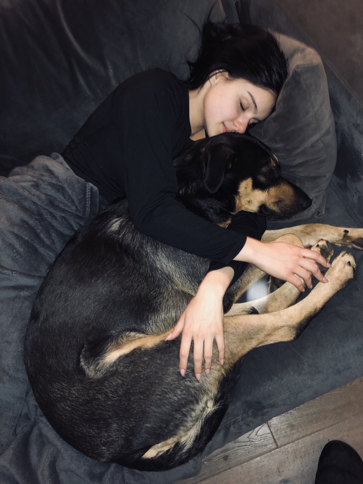 Picture of Ariel Winter