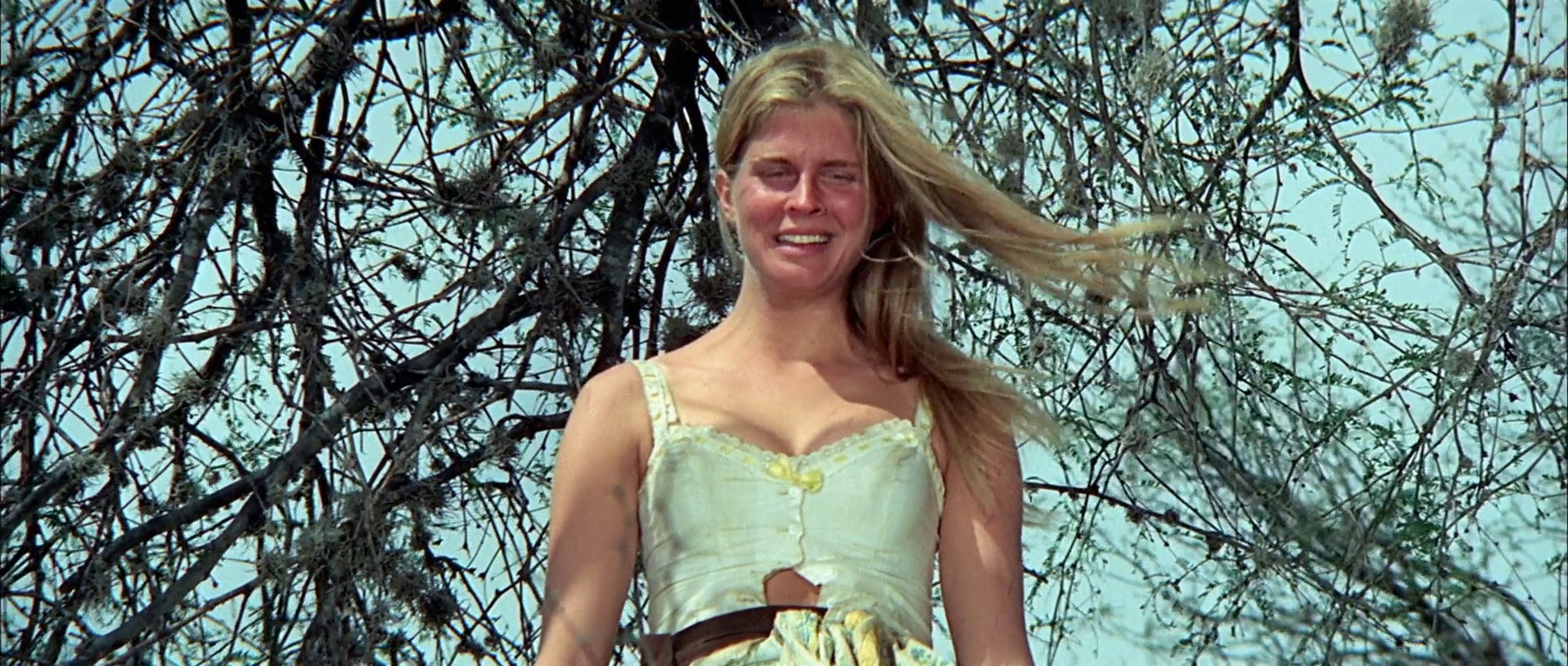 Picture of Soldier Blue