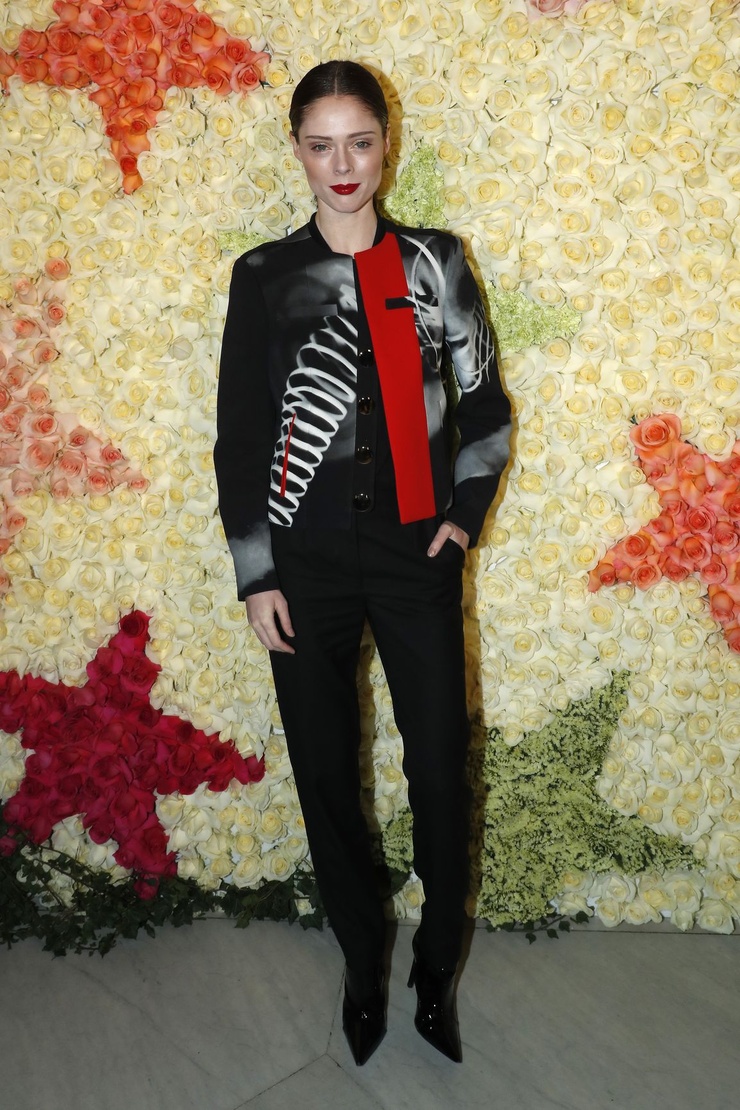 Picture of Coco Rocha