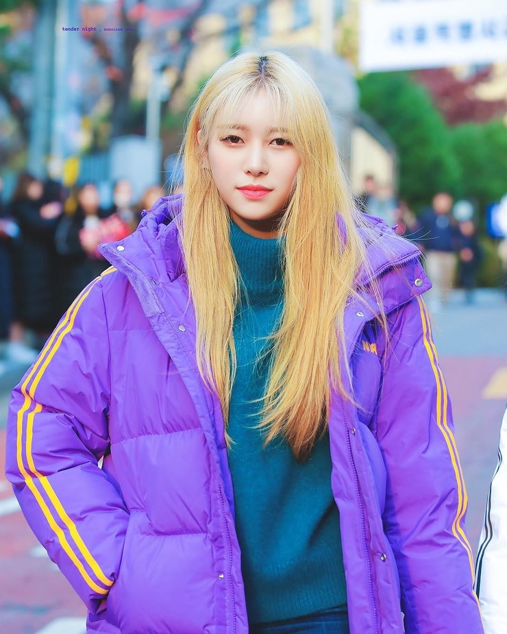 Picture of Jane (Momoland)