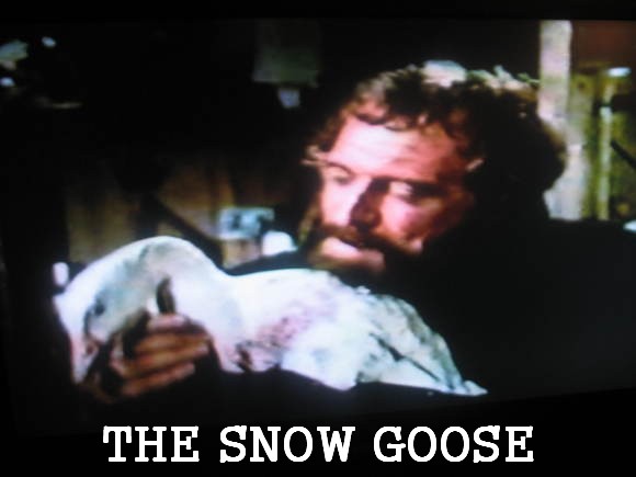 Picture of The Snow Goose