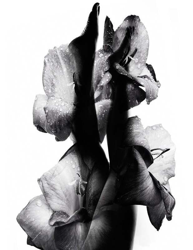 Picture of Tuuli Shipster