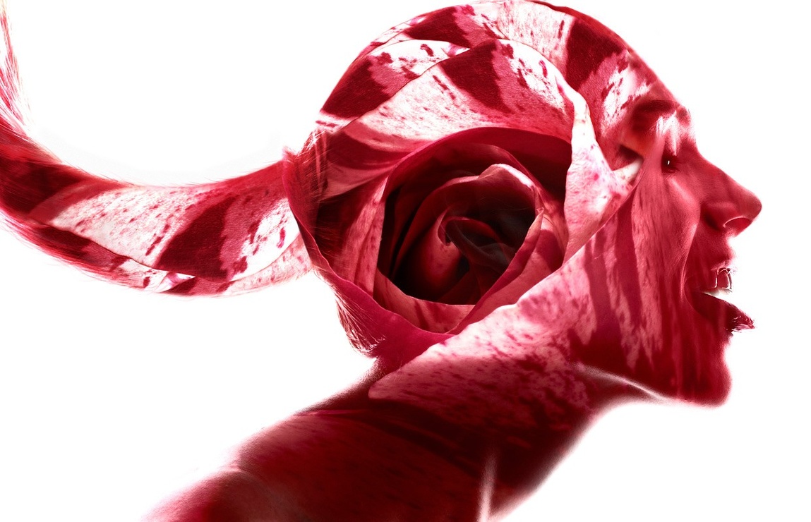 Picture of Tuuli Shipster