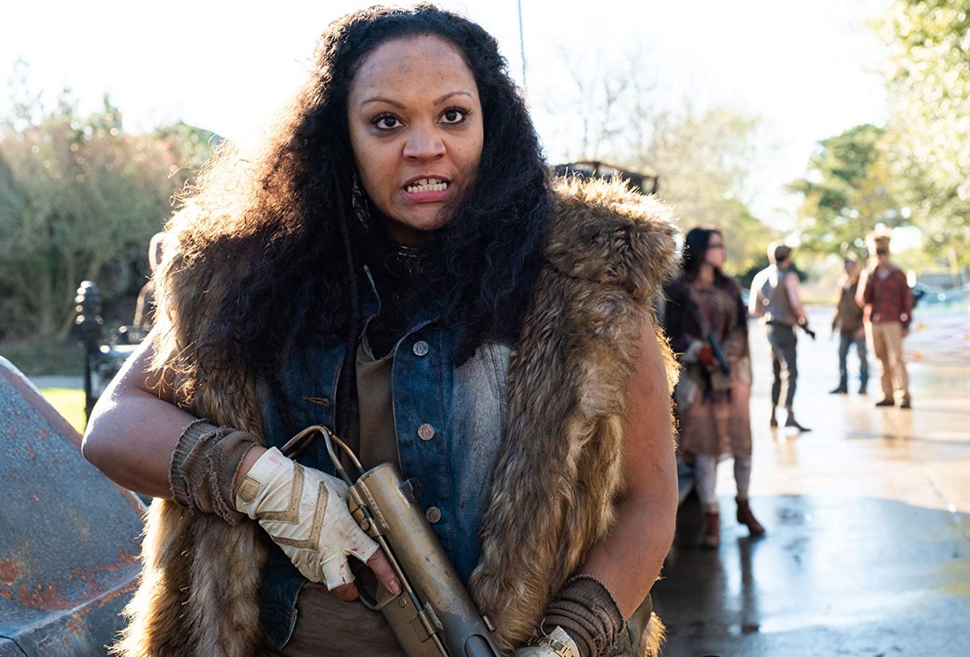 Image of The Domestics