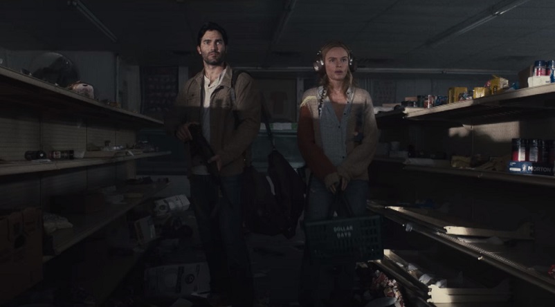 Image of The Domestics