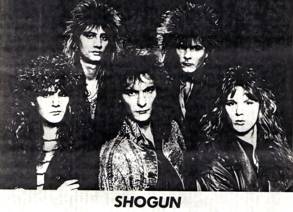 Picture of Shogun