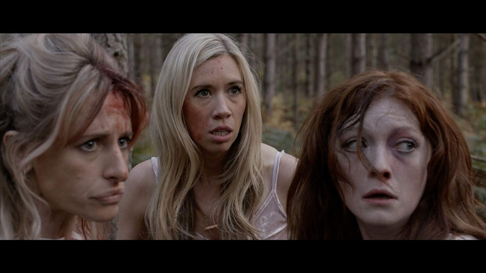 Picture of The Final Scream