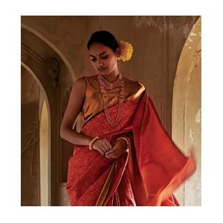 Picture of Meenakshi Rathore