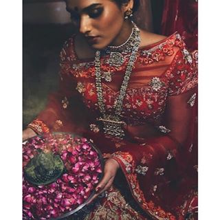 Picture of Meenakshi Rathore