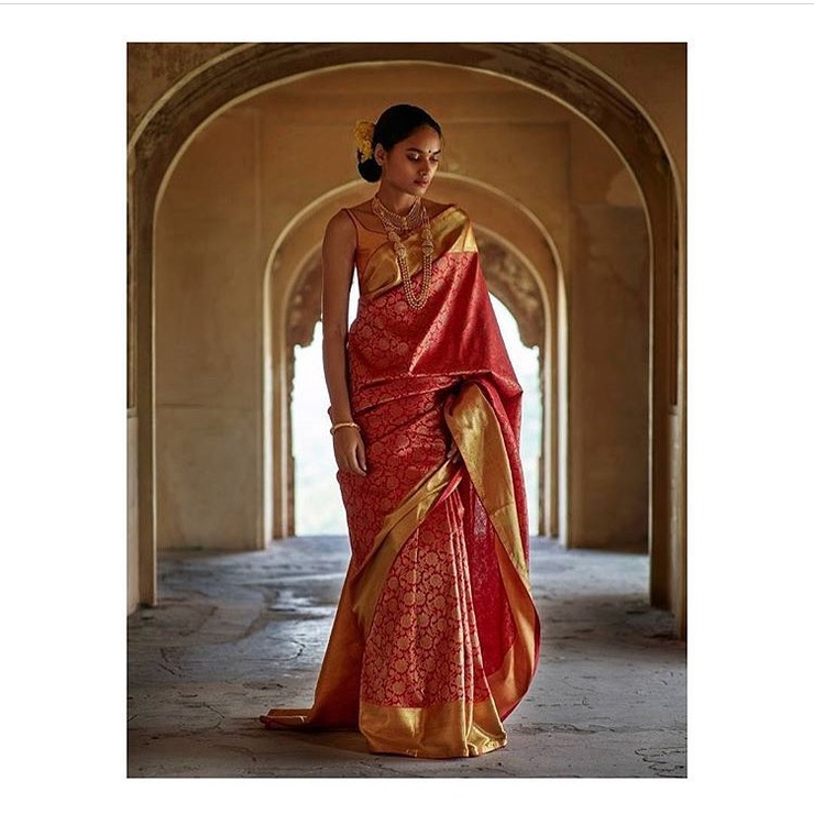 Picture of Meenakshi Rathore