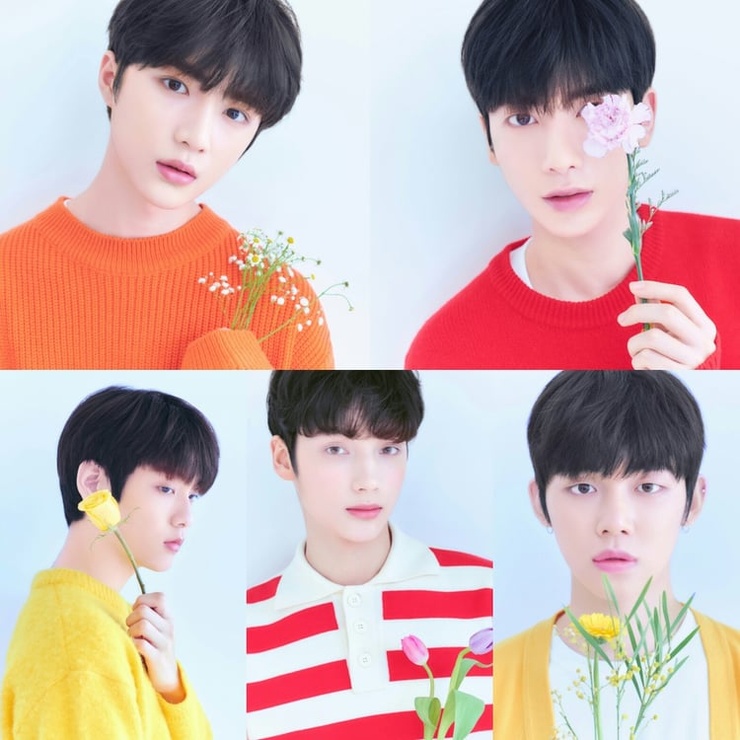 Picture of TXT