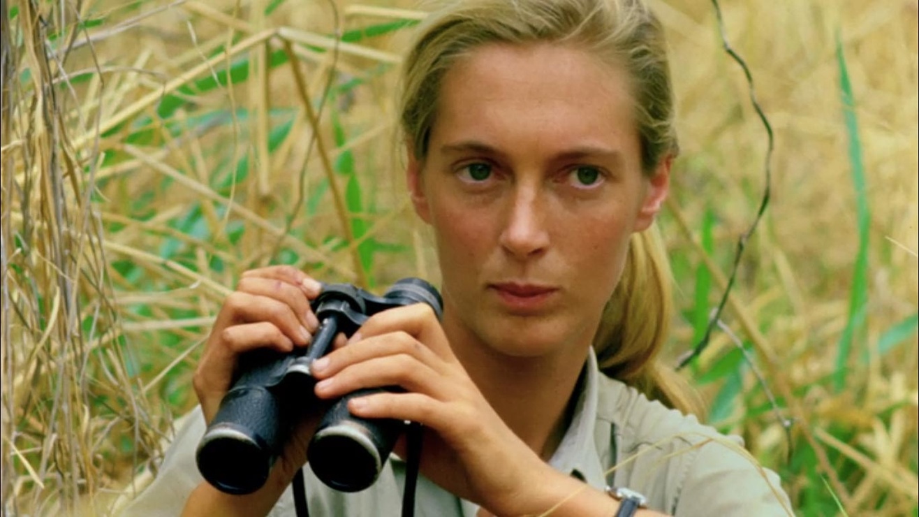 Picture of Jane (2017)