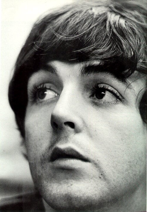Paul McCartney picture