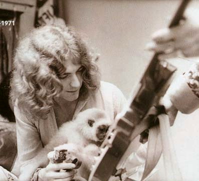 Picture of Robert Plant