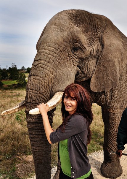 Picture of Tanit Phoenix