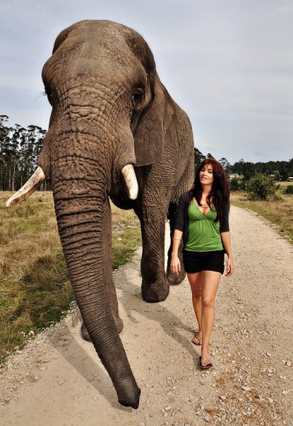 Picture of Tanit Phoenix