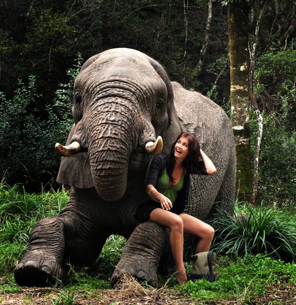 Picture of Tanit Phoenix