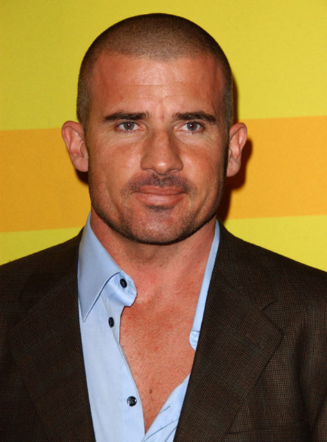 Picture of Dominic Purcell