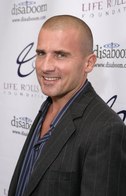 Picture of Dominic Purcell