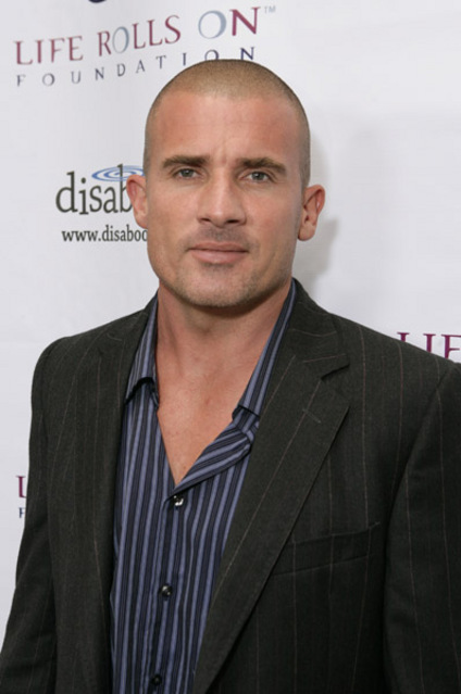 Picture of Dominic Purcell