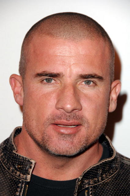 Picture of Dominic Purcell