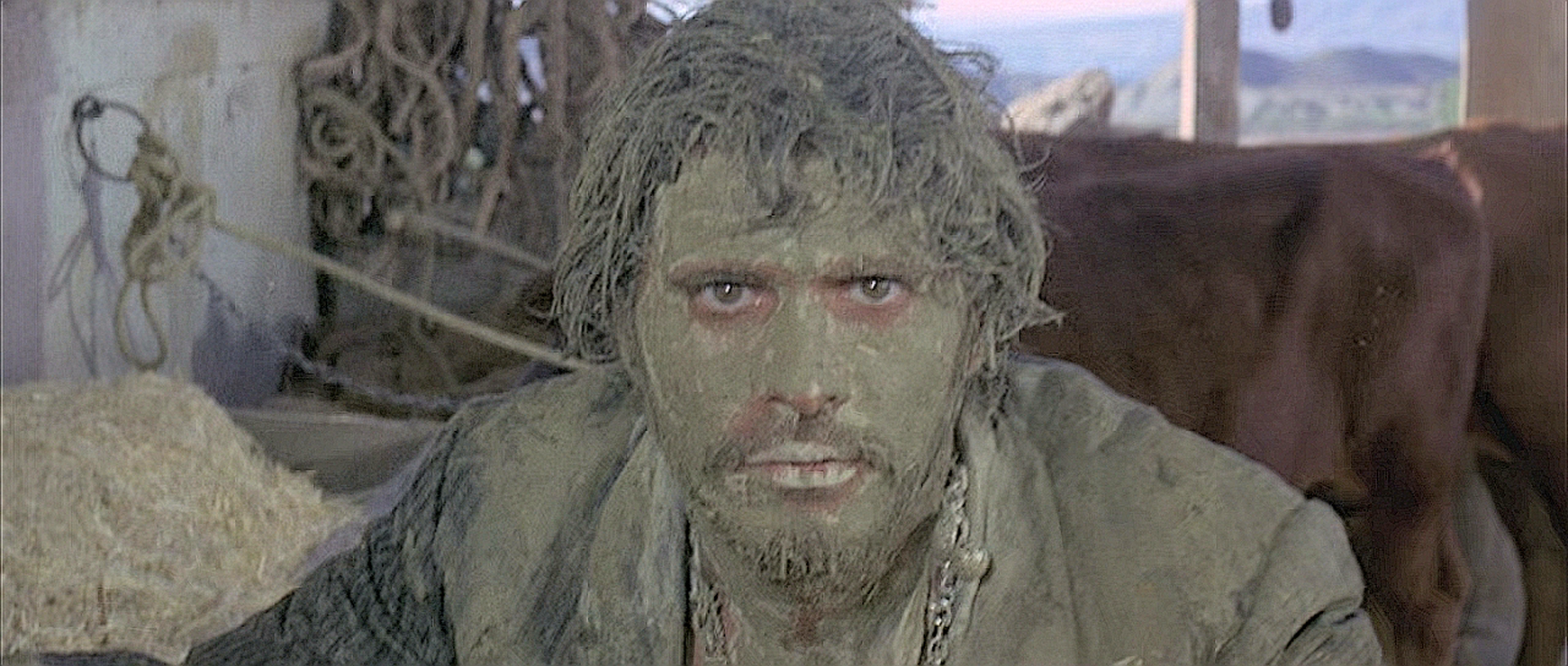Picture of The Mercenary