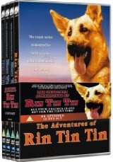 The Adventures of Rin Tin Tin (1954-1959) picture