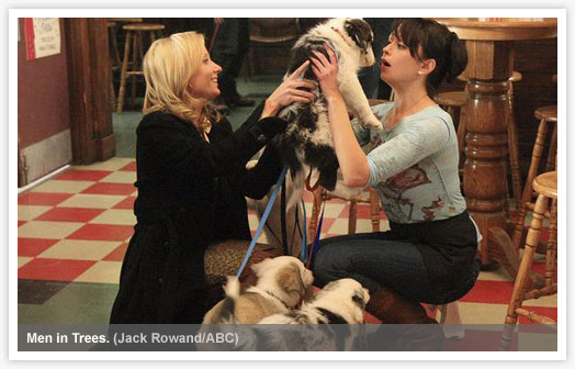 Picture of Men in Trees