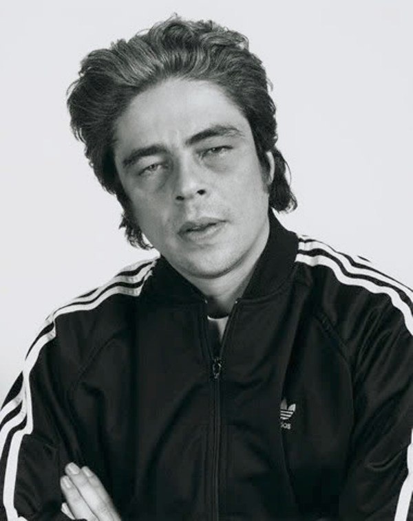 Picture of Benicio Del Toro
