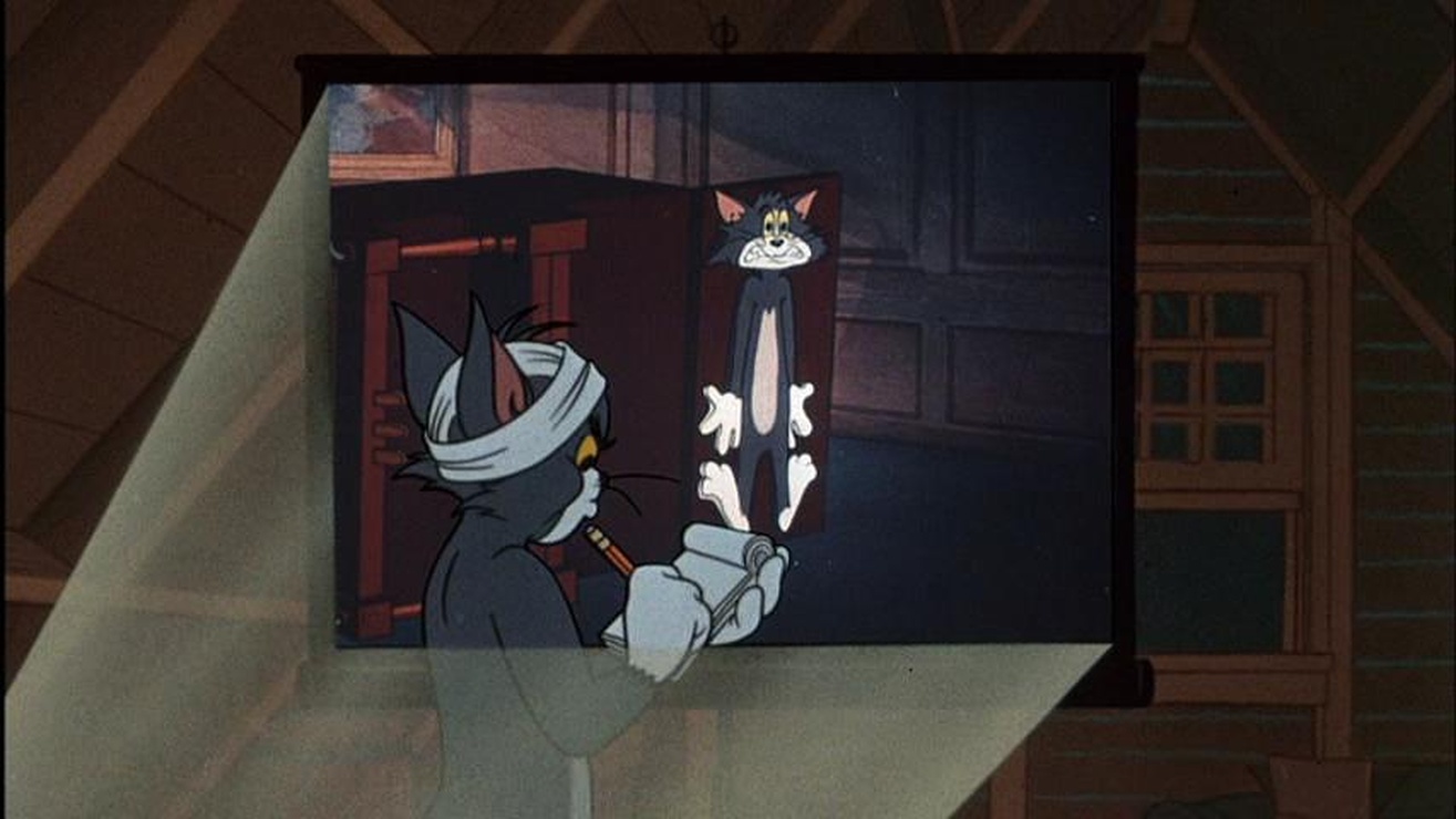 Picture of Shutter Bugged Cat