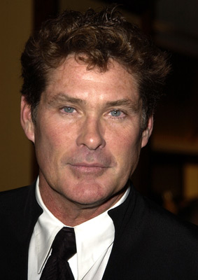 Picture of David Hasselhoff