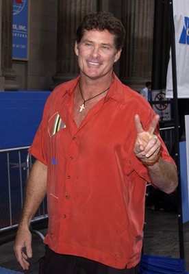 Picture of David Hasselhoff